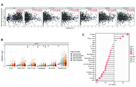 Correlations Of Ptk2 Expression With Immune Infiltration Level In