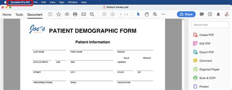 Creating Fillable Pdf Forms