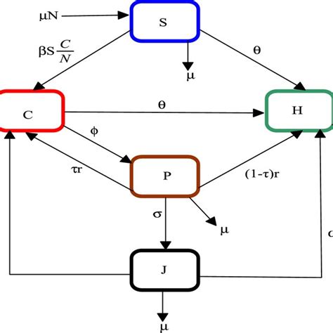 Schematic Diagram For Financial Crime Population Dynamics Download Scientific Diagram