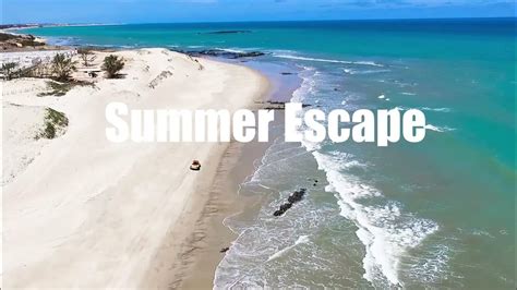 🌴여름아 가지마 트렌디한 트로피컬 팝 Royalty Free Music Youtube