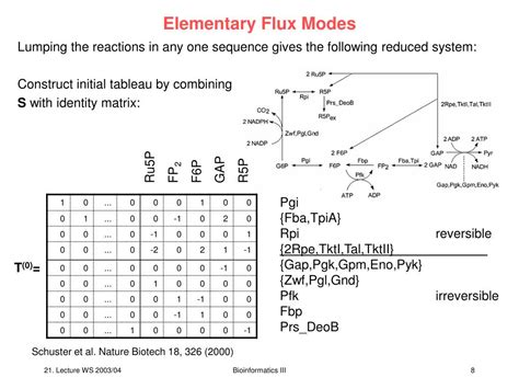 Ppt Metabolic Pathway Analysis Elementary Modes Powerpoint Presentation Id6766077
