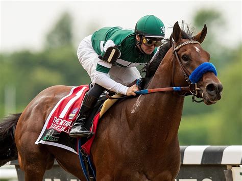 As Good As He S Ever Looked Flightline Breezes Half Mile For March 5