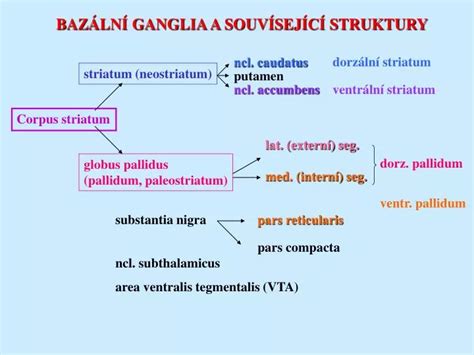 Ppt Corpus Striatum Powerpoint Presentation Free Download Id3197409