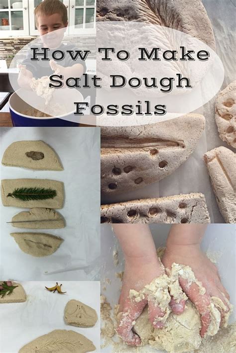 How To Make Salt Dough Fossils Jenny Irvine Recipe Salt Dough Homebabe Science Fossils