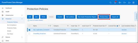 Asset Group Configuration Protecting Epic Data With Dell Powerprotect Data Manager Dell