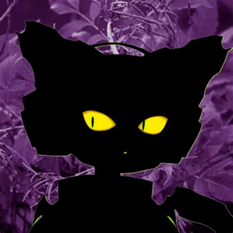 Mavis The Cat Youtube