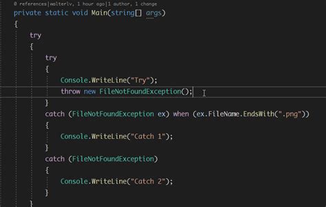 NET Framework 的 bugtry catch when 中如果 when 语句抛出异常程序将彻底崩溃 walterlv