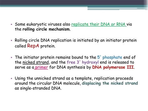 Rolling Circle Replication Pptx Chemistry Science