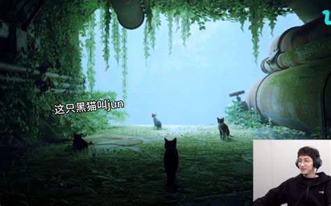 佑灰 很有那味了 适合圆脸 适合圆脸 哔哩哔哩视频