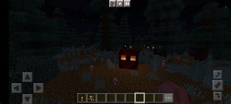 Dynamic Light Plus Addon Mcpe 1Minecraft