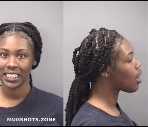 Dickerson Nicole S 11162022 Kankakee County Mugshots Zone