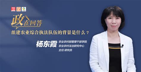 组建农业综合执法队伍的背景是什么丨政在回答 整合 农村 指导