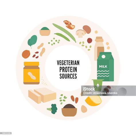식품 가이드 개념 벡터 플랫 모던 일러스트레이션 채식 단백질 소스 원 프레임에 음식 플레이트 인포 그래픽 야채 견과류 귀리 버섯 및 유제품의 다채로운 식품 아이콘 세트 식사