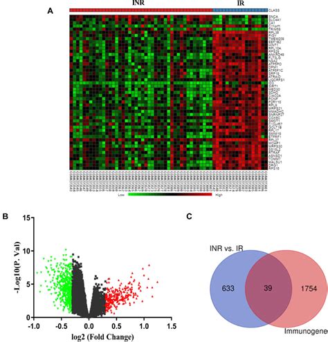 A Heatmap Of The Top 50 DEGs From The Total 672 DEGs Between INRs And Download Scientific