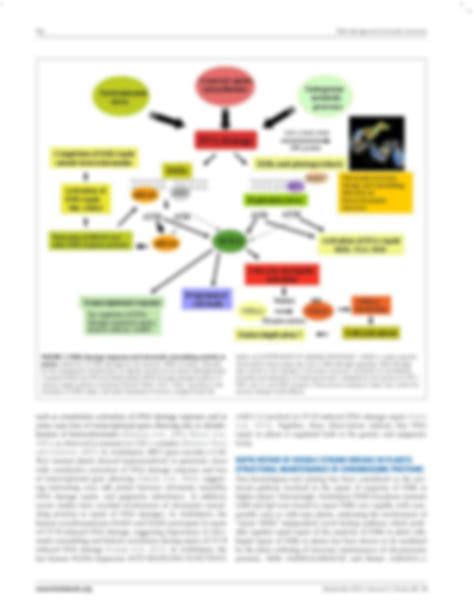 Solution Maintenance Of Genome Stability In Plants Repairing Dna