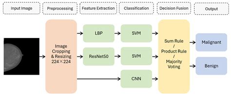 Deep Learning Based Breast Cancer Detection Using Decision Fusion