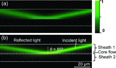 Optical Intensity Distribution Of The Evanescent Field Generated By