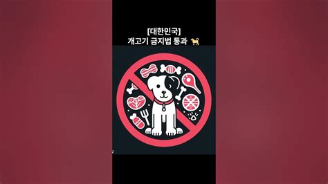 대한민국 개고기 금지법 통과 개고기 개고기금지 대한민국 지식 이슈 Youtube