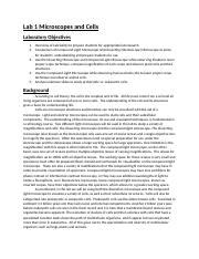 Lab 1 Microscopes And Cells Docx Lab 1 Microscopes And Cells Laboratory Objectives 1 Overview