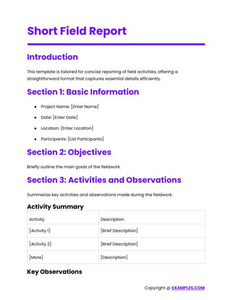 Field Report Template A Comprehensive Guide For Data Collection And Analysis Professional