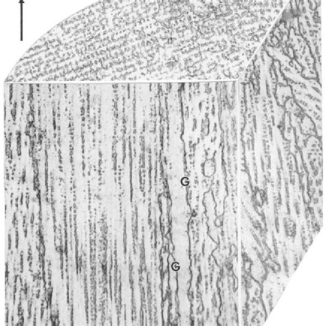 Eutectic Phase Diagram Left And Associated Unidirectional Eutectic