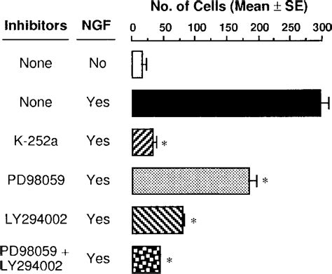 Suppressive Effects Of Signal Transduction Inhibitors On Ngf Induced