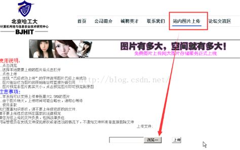 渗透测试项目一5、完成渗透测试项目 51 利用网站漏洞获取该服务器shell网页关入侵 铜牌任务 Csdn博客