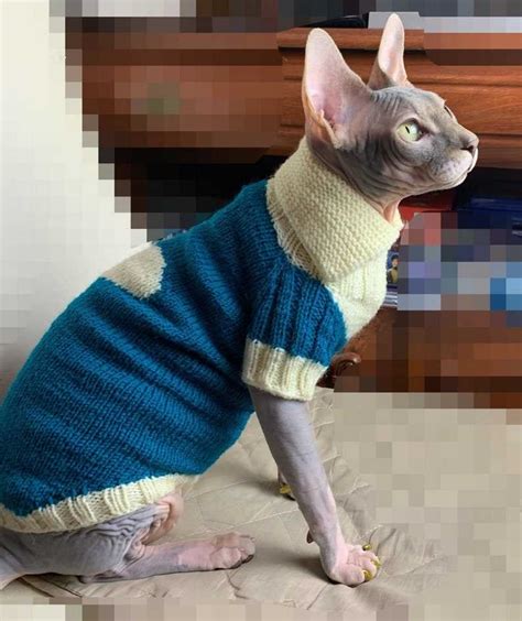 Cozy Clothes For Hairless Cats Sphynx Sweater Knitting Pattern