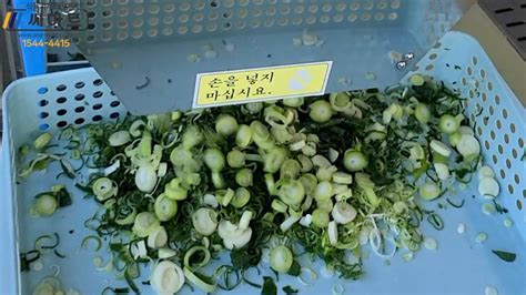 파채기 탕파절단기 탕파써는기계로 대량의 대파썰기 네이버 블로그