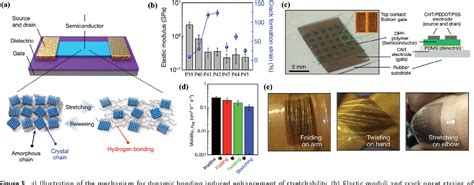 Figure 1 From Intrinsically Stretchable And Healable Polymer