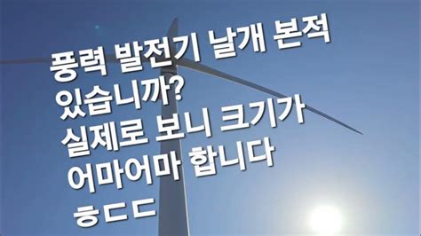풍력 발전기 날개 본적 있습니까 Youtube