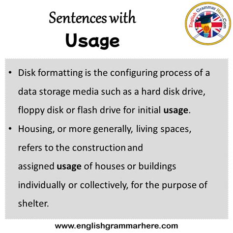 sentences with usage usage in a sentence in english sentences for