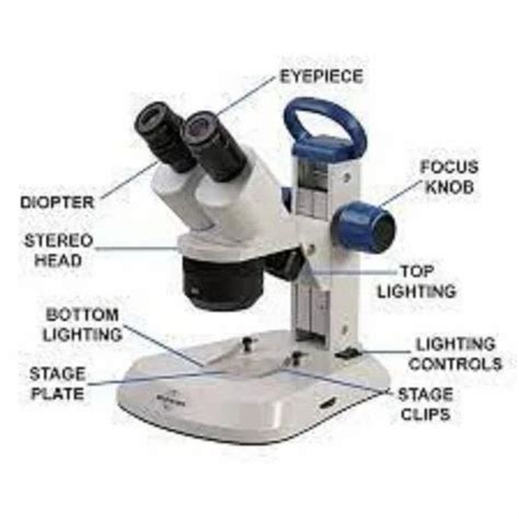 Dissecting Microscope At Rs 7950piece Dissecting Microscope In Ambala Id 27204905348