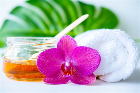 나무 왁싱 주걱 스틱으로 제거 머리 설탕 페이스트 또는 왁스 꿀 꽃 배경 제모 및 뷰티 개념 0명에 대한 스톡 사진 및 기타 이미지 Istock