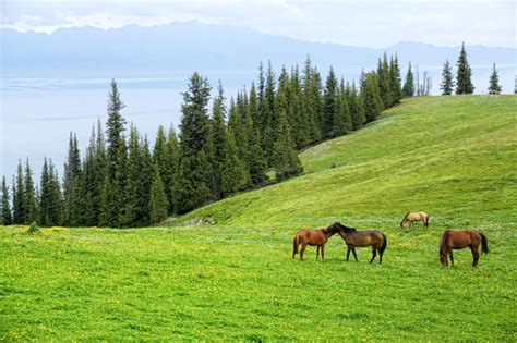 The Point Farthest From Any Ocean On Earth I Happened To Go There Or Very Close To It And It