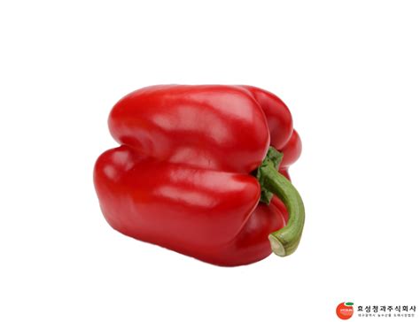 [미니 파프리카] 국내 품종 미니 파프리카 라온 피망과 파프리카의 차이 네이버 블로그