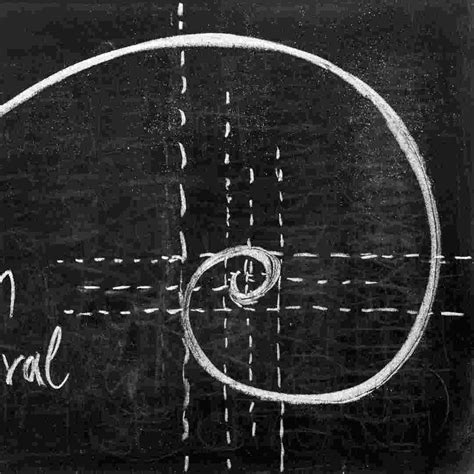 Unlocking The Rabbit Problem Exploring Fibonacci Sequences