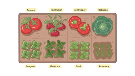 Raised Bed Garden Layout Design Tips And Planting Plans Craftcamp™