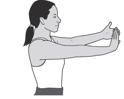 3 Arm Stretch Effective Exercise Radial Tunnel Syndrome