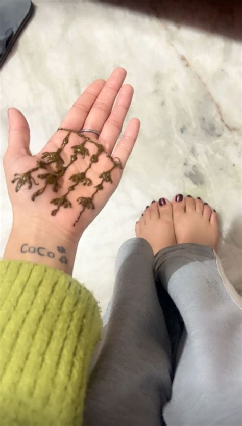 Nisha Bhandaris Feet