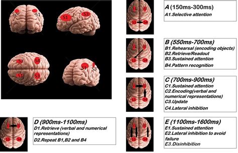 Script For Gpdc And Plv Psi Computation Ieee Dataport
