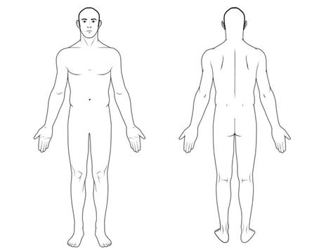 The Ultimate Guide To Understanding The Human Body Diagrams And Pictures
