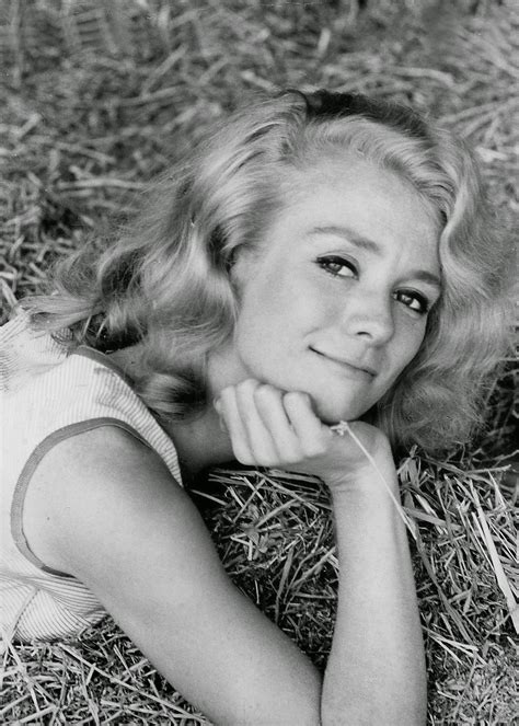Slice Of Cheesecake Inger Stevens Pictorial Slice Of Cheesecake Inger Stevens Pictorial