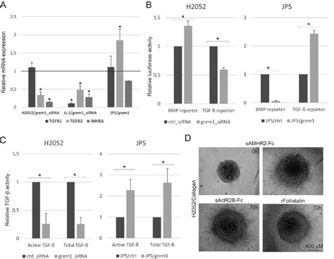 Tgf β Pathway Activity Contributes To Gremlin 1 Induced Invasive
