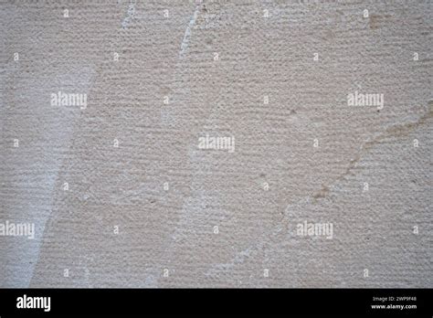 Shell Rock Is A Sedimentary Rock One Of The Varieties Of Limestone