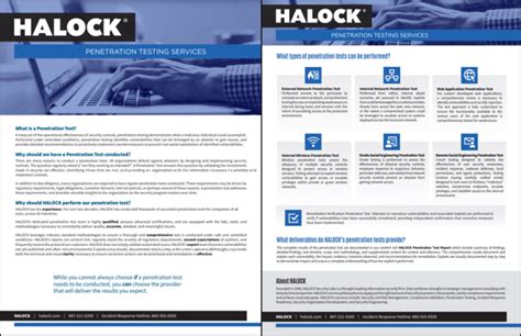 What Are The Different Options For Pen Testing Pen Test Services PTaaS