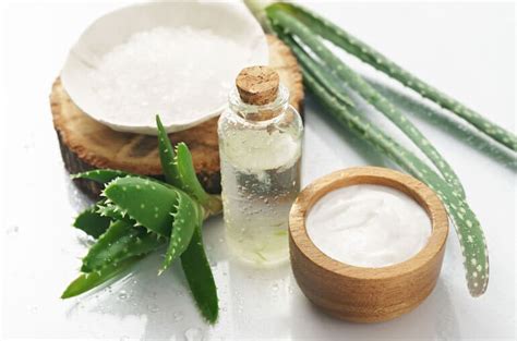 Propiedades Del Aloe Vera Sabes Cu Les Son Las Que Tiene
