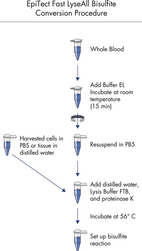 Epitect Fast Bisulfite Conversion Kits