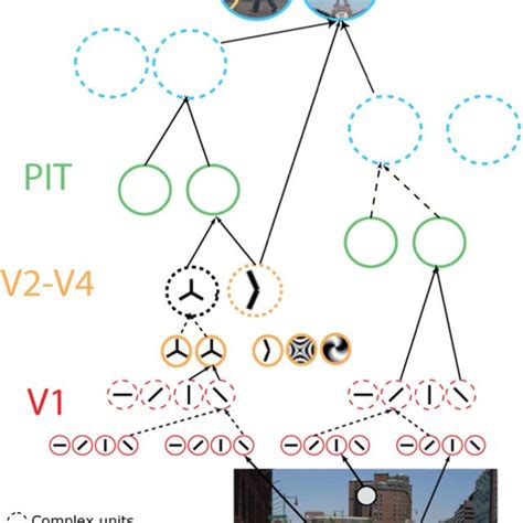 Rao And Ballards Hierarchical Predictive Coding Model Of The Visual Download Scientific