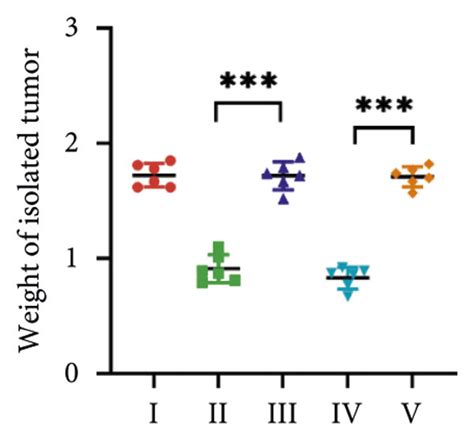 Confirmation Of The Regulatory Role Of The Ptov1 As2mir 145 5pfscn1 Download Scientific